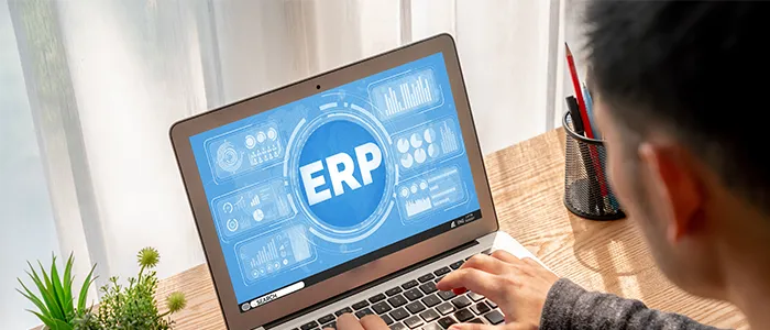 The Importance of User Interface in Enterprise Resource Planning